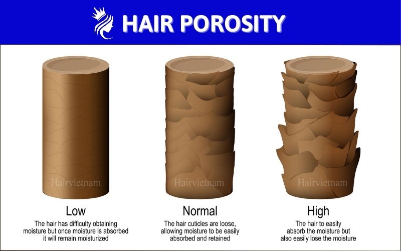 Porosity Hair: Low vs High Porosity Hair Care